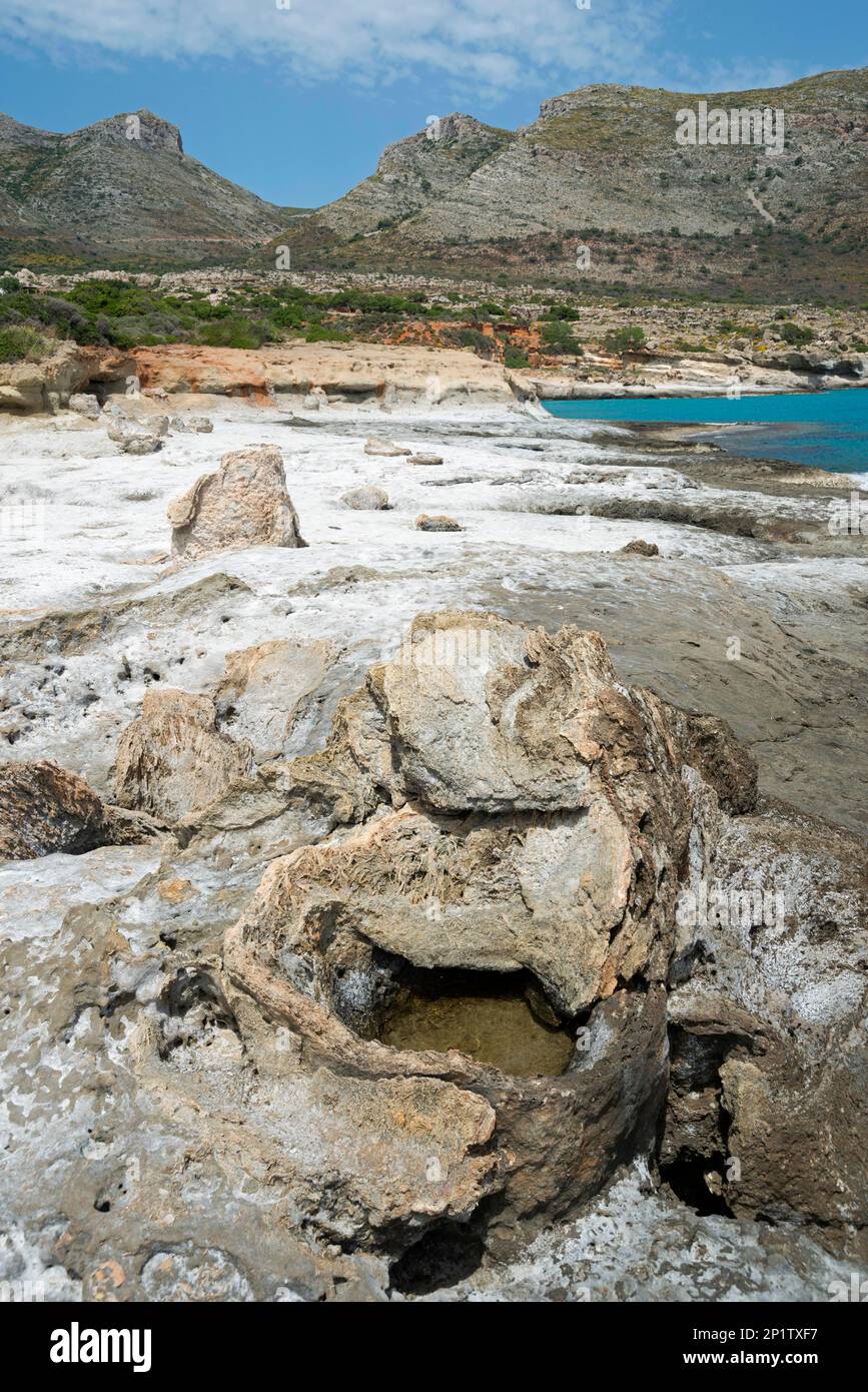 Petrified forest near agia hi-res stock photography and images - Alamy