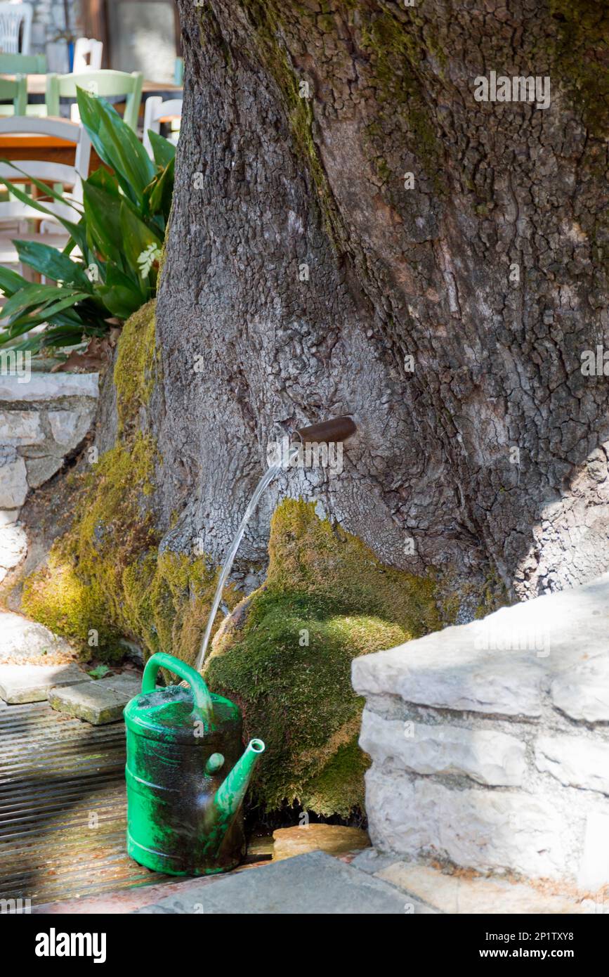 The giving tree hi-res stock photography and images - Alamy