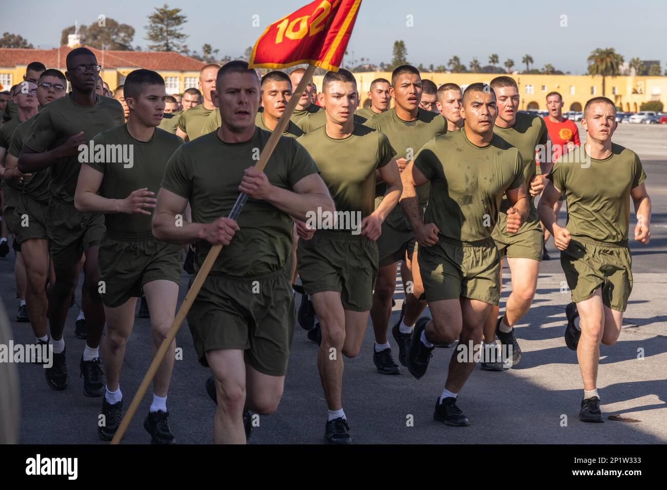 New U.S. Marines with Bravo Company, 1st Recruit Training Battalion ...
