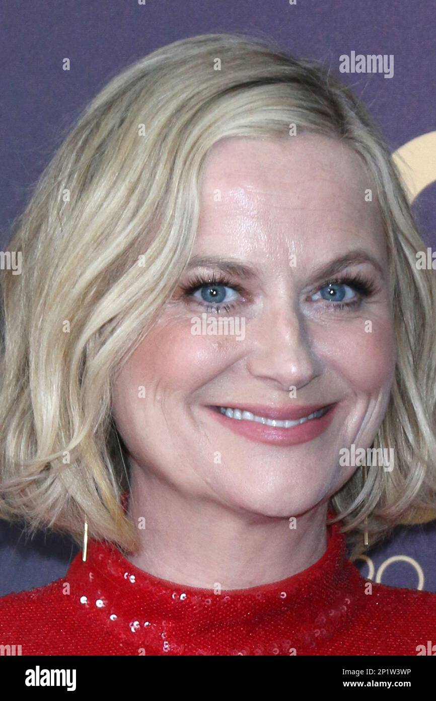 LOS ANGELES - MAR 2: Amy Poehler at the Carol Burnett - 90 Years of ...