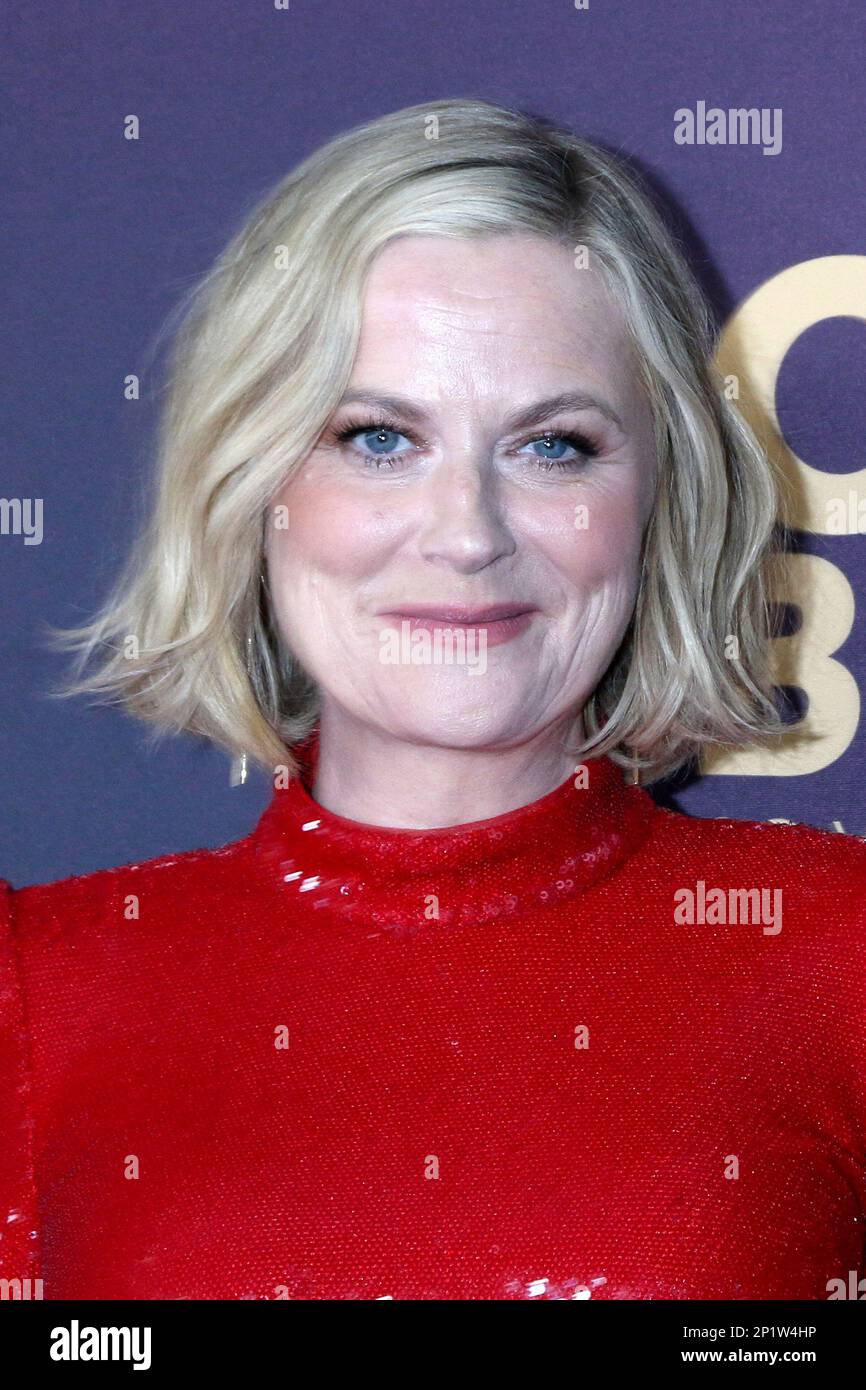 LOS ANGELES - MAR 2: Amy Poehler at the Carol Burnett - 90 Years of ...