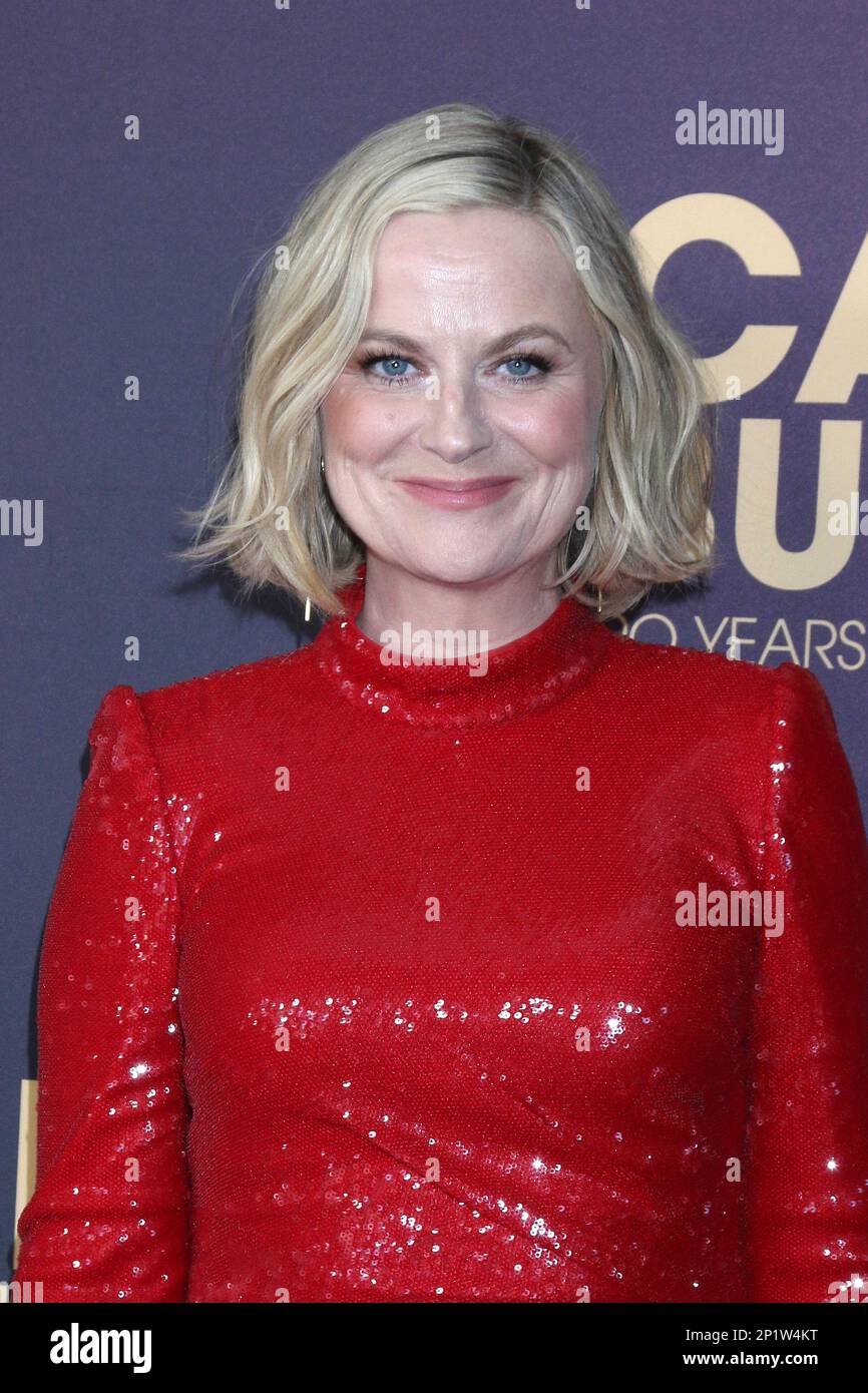 LOS ANGELES - MAR 2: Amy Poehler at the Carol Burnett - 90 Years of ...