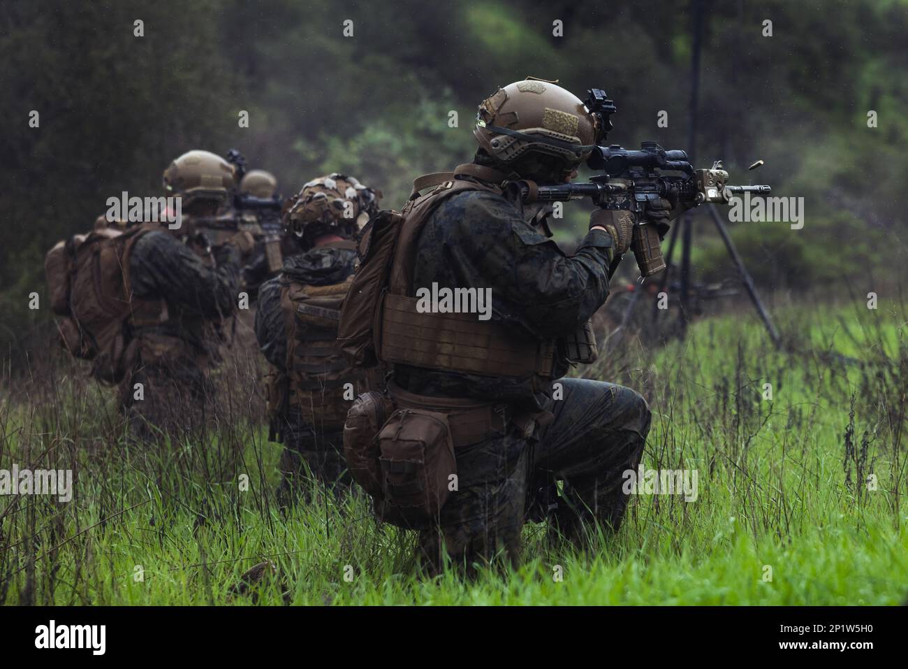 U.S. Marines with Alpha Company, 3rd Light Armored Reconnaissance ...