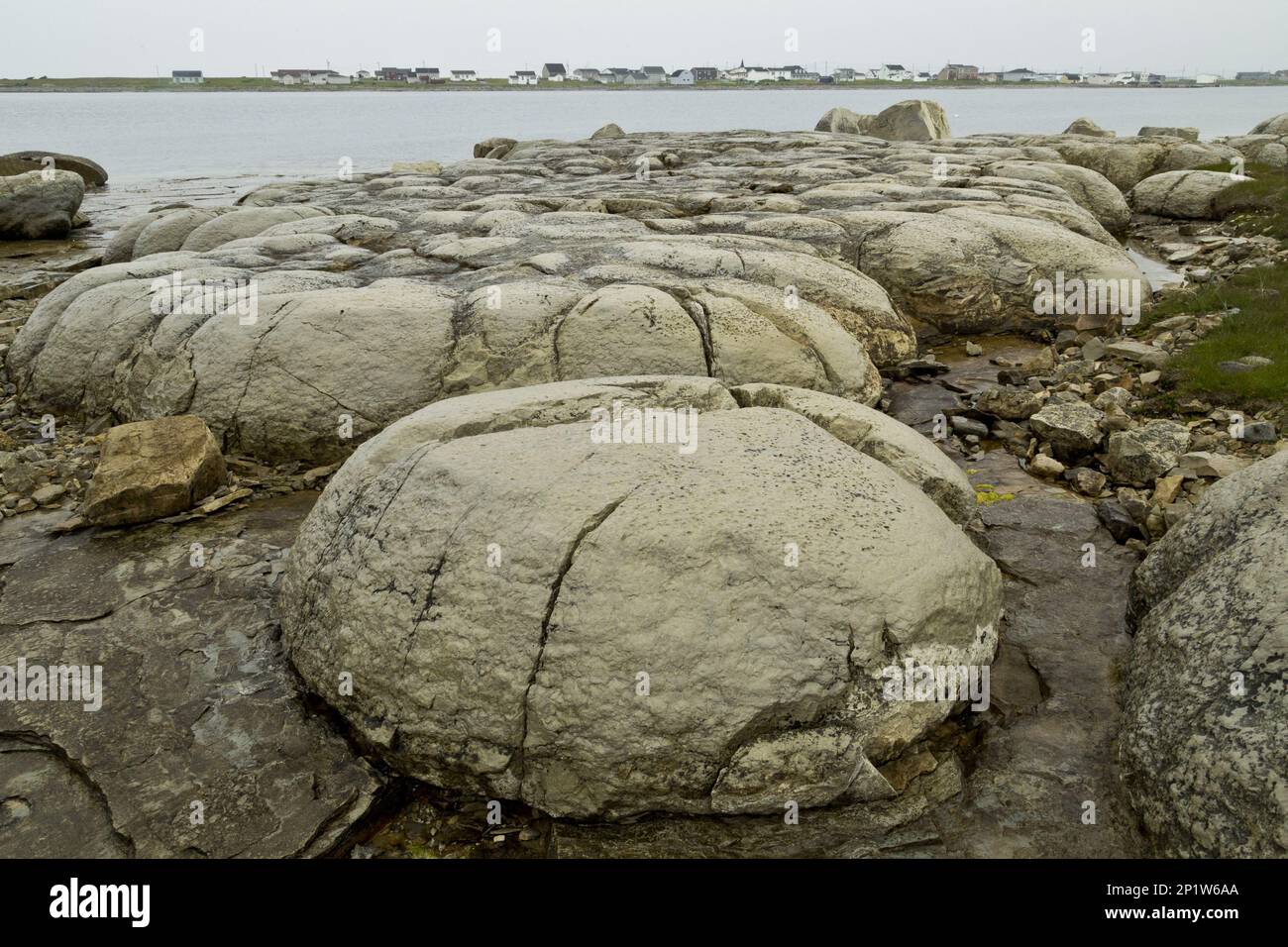Cyanobacteria fossil hi-res stock photography and images - Alamy