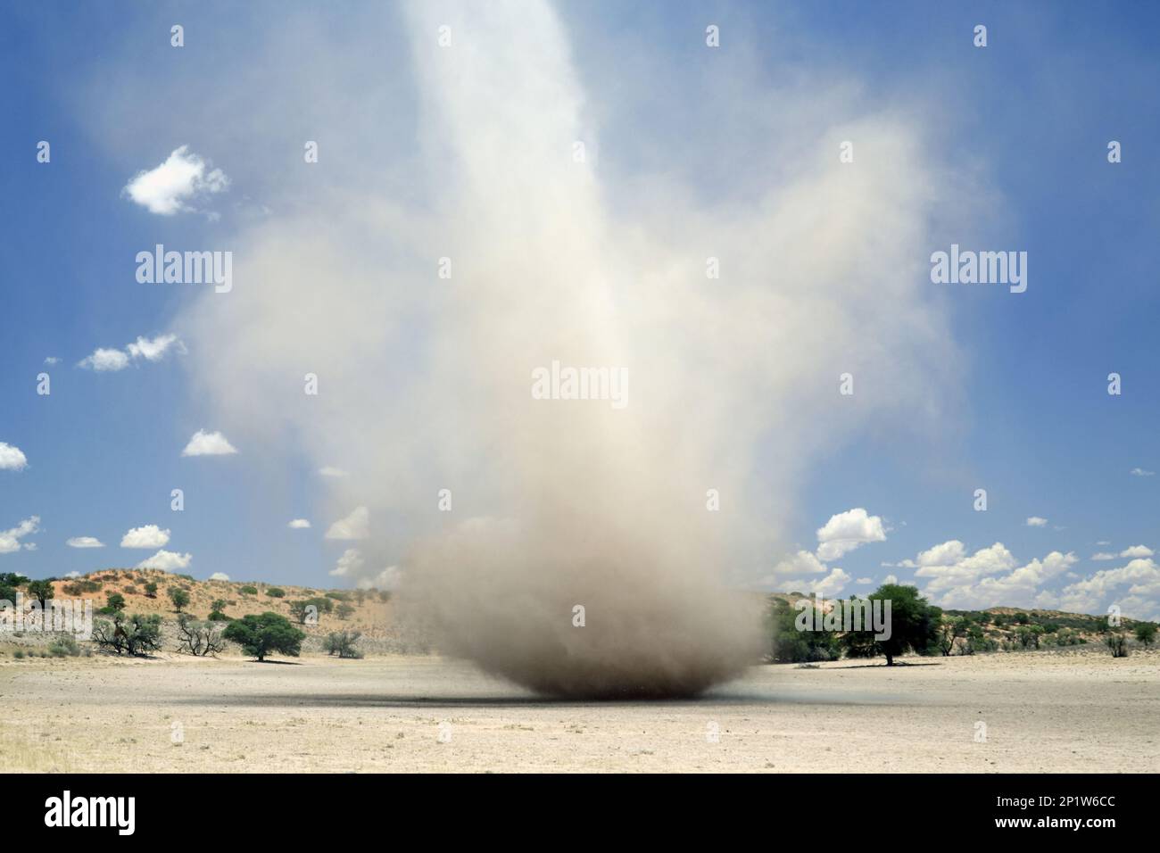 Dust devil cyclone crosses dry river bed in semi-desert, Kalahari ...