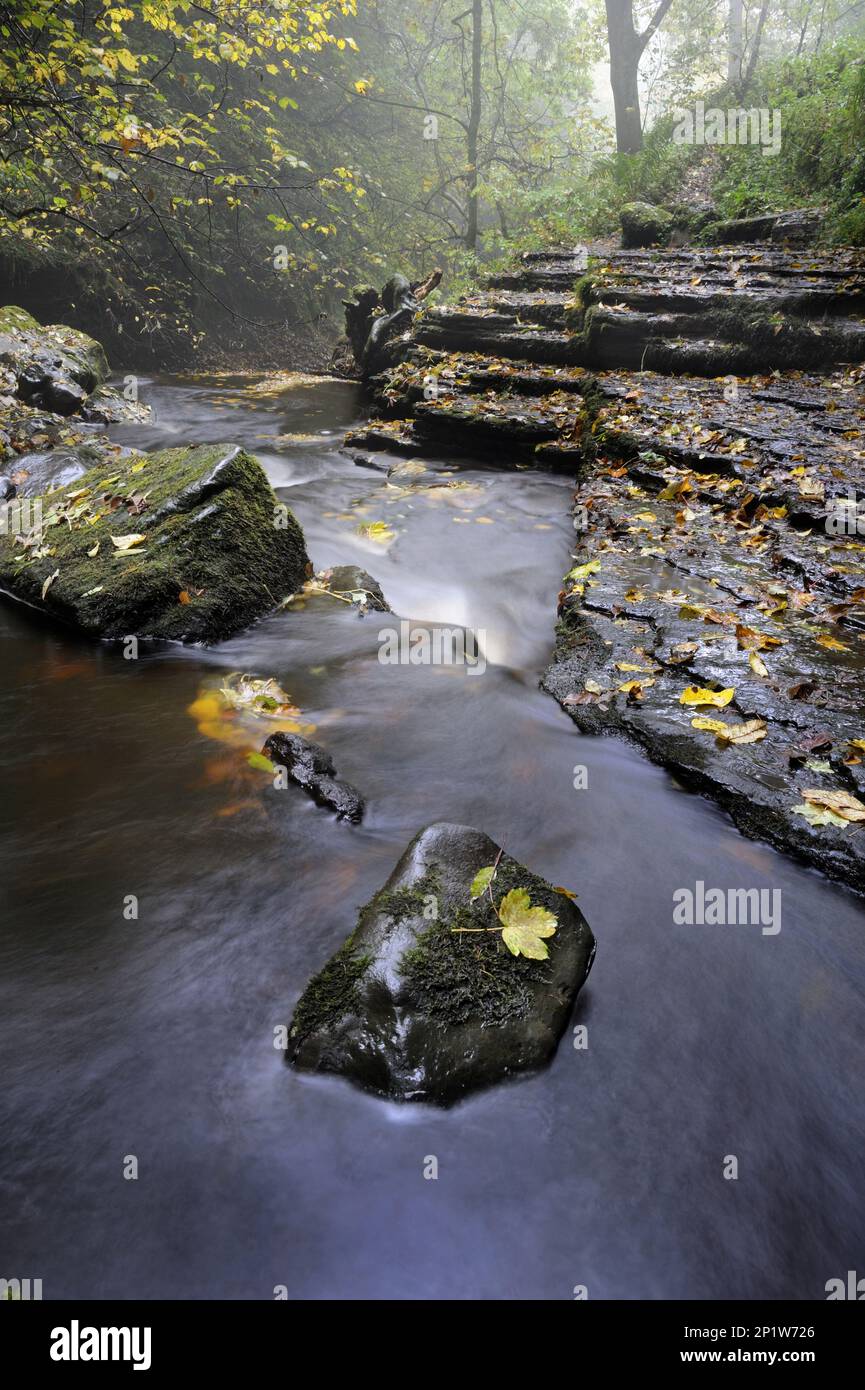 View of river cascades and trees with leaves in autumn colours, Mill ...