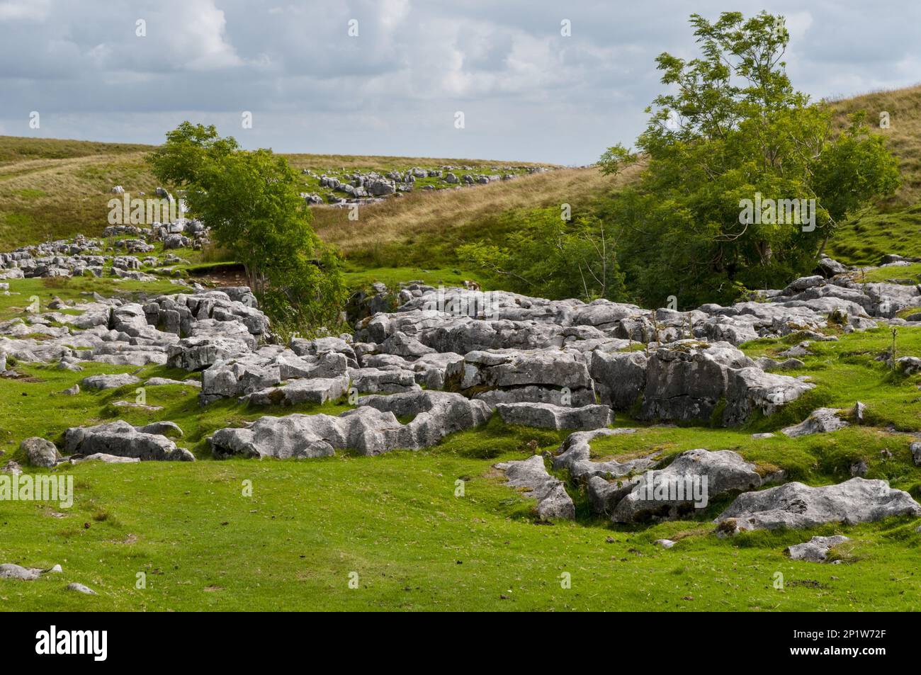Outcrops of limestone showing typical erosion patterns of grykes and ...