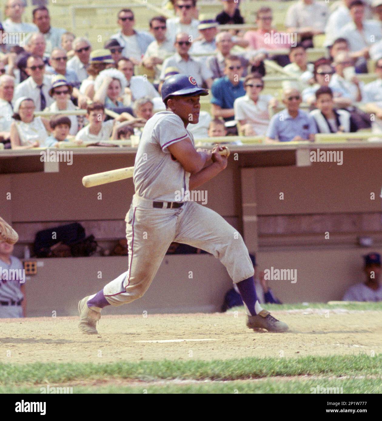 Chicago Cubs Roberto Pena (7) during a game from his 1965 season ...