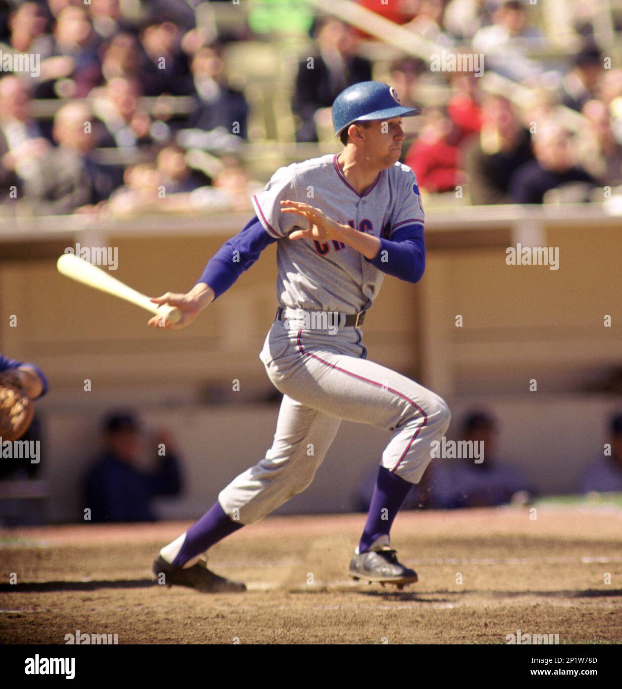 Chicago Cubs Don Kessinger (11) during a game from his 1967 season ...