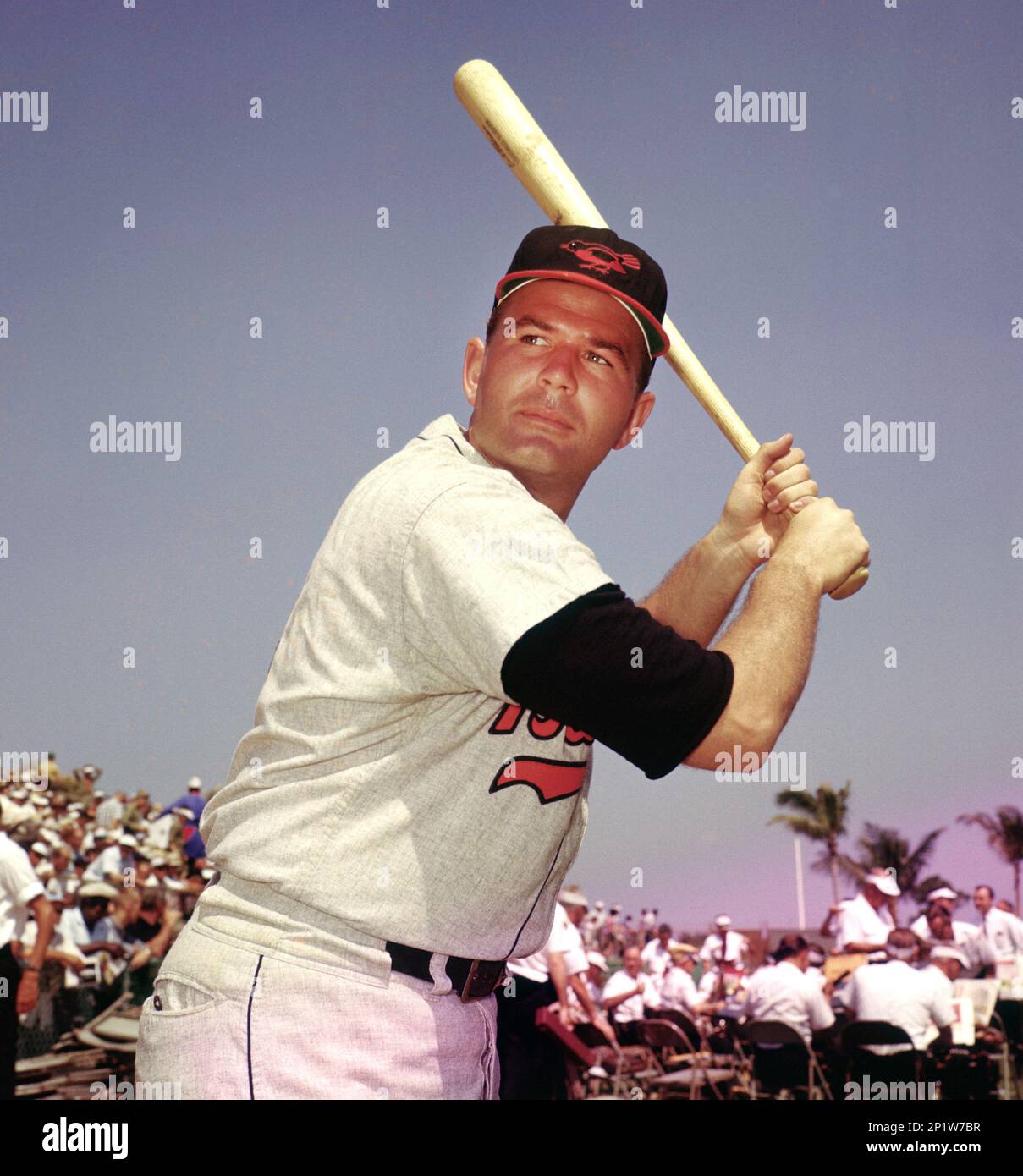 Baltimore Orioles Jim Gentile (14) portraits from his 1962 season.. Jim ...