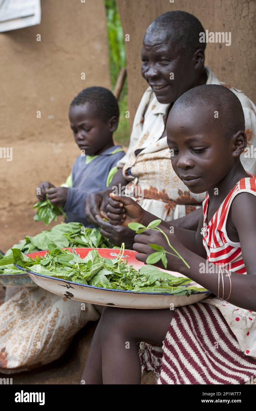 Family meal africa hi-res stock photography and images - Alamy