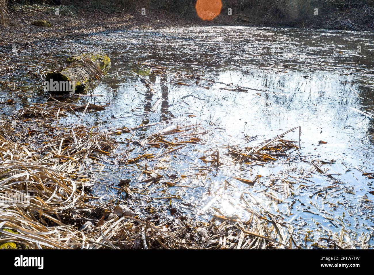 Sprinkling tarn rain hi-res stock photography and images - Alamy