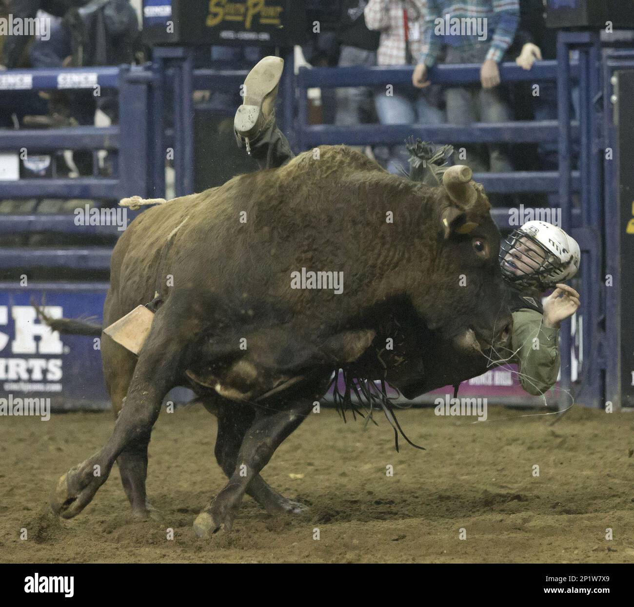 Jan. 12, 2016 - Denver, Colorado, U.S - Bull Rider SKYLER SIMS, of ...