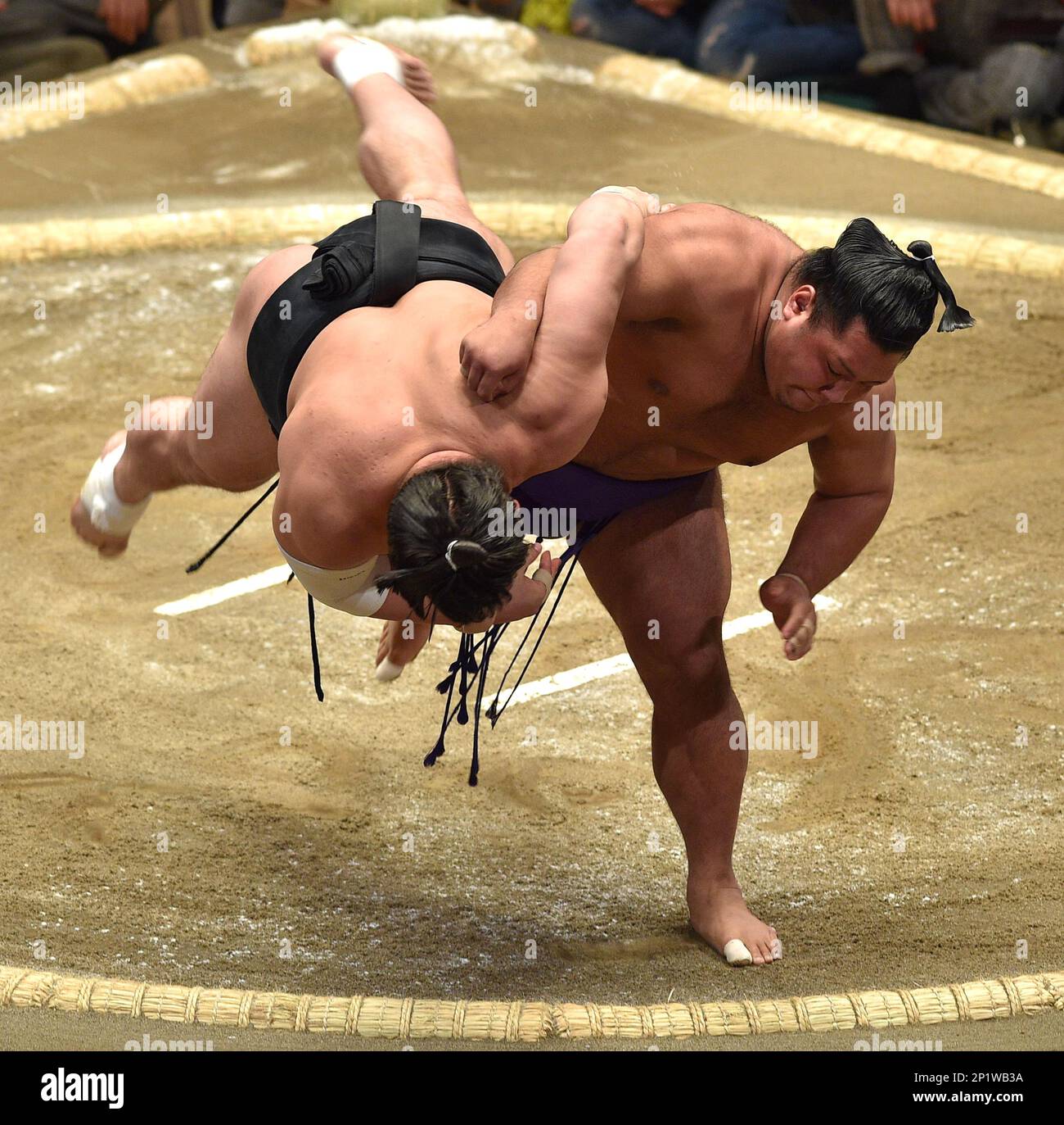 Top maegashira Shohozan (R) hurls Mongolian yokozuna Harumafuji to the ...
