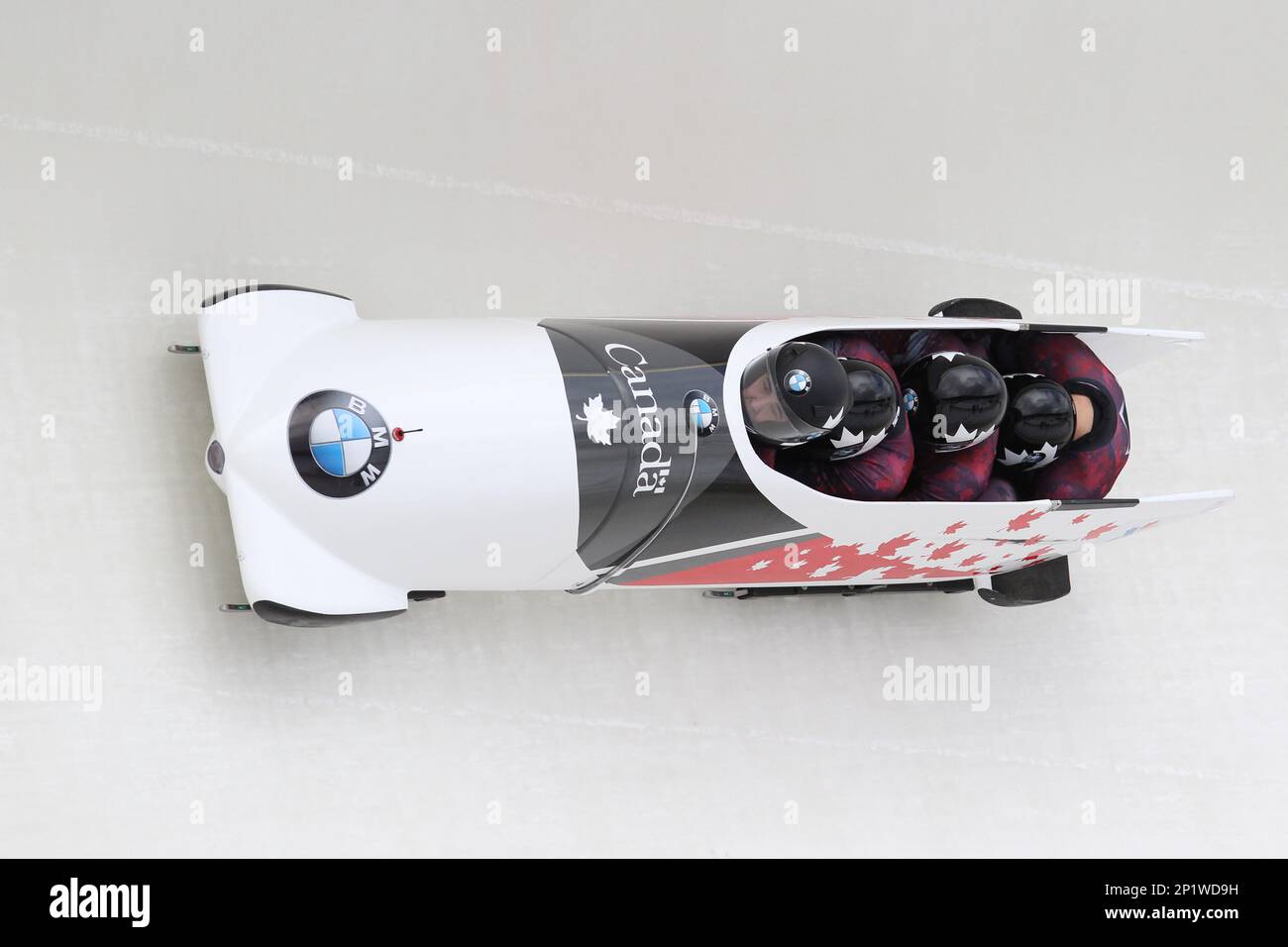 09 January 2016: Canada 2 driven by Chris Spring with pushers Cameron ...