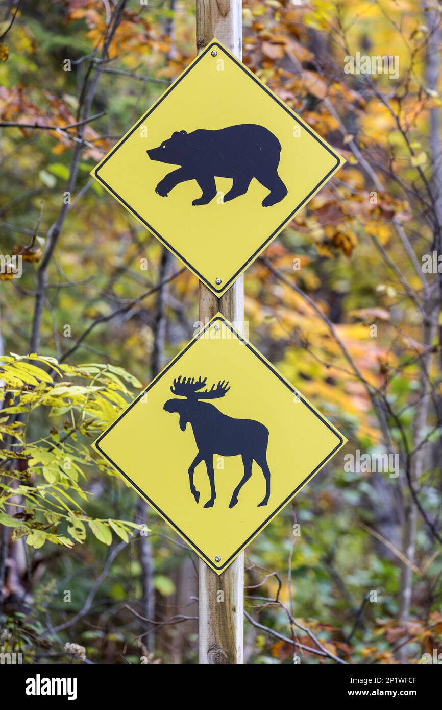 Moose Crossing Sign Quebec