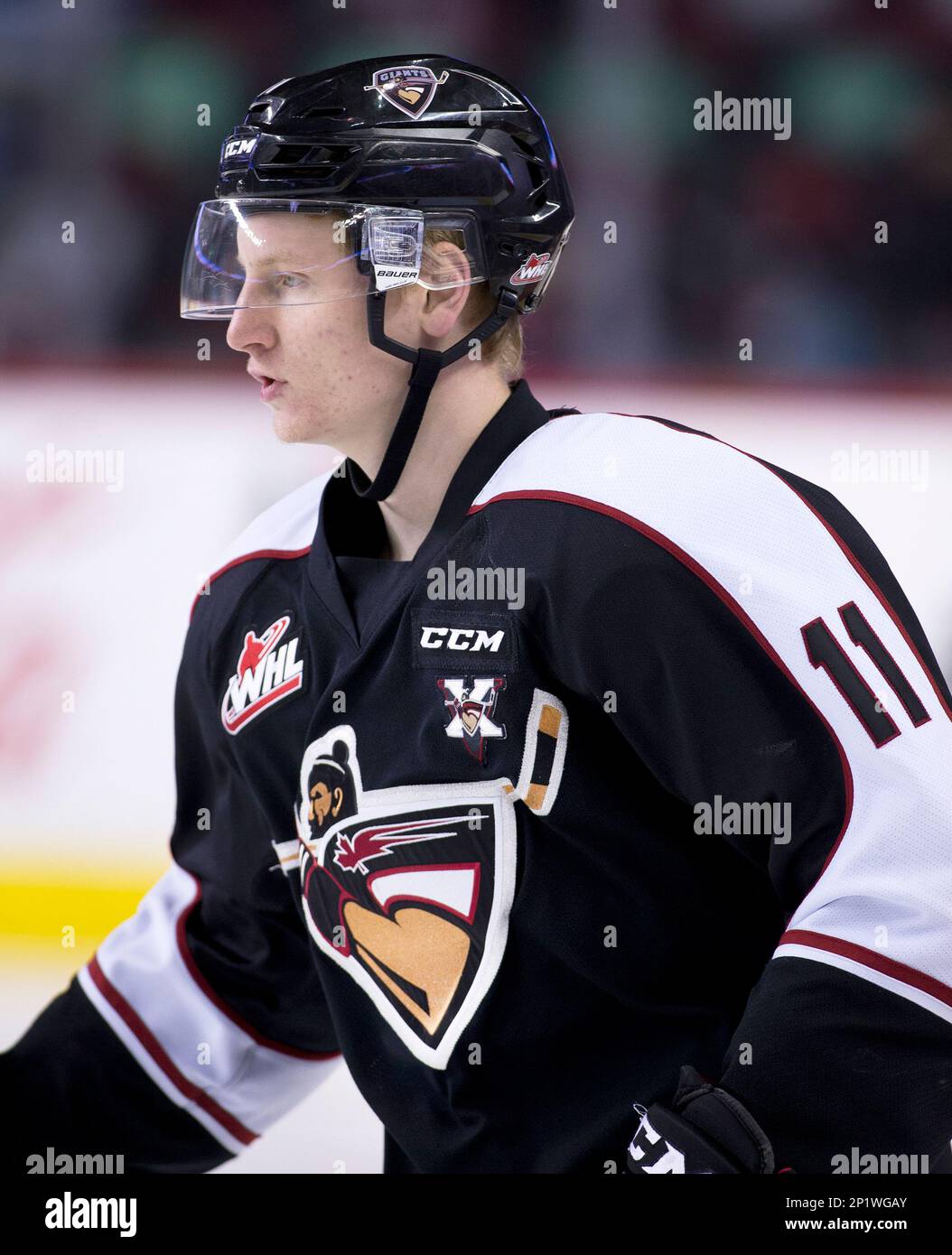 Chase lang hi-res stock photography and images - Alamy