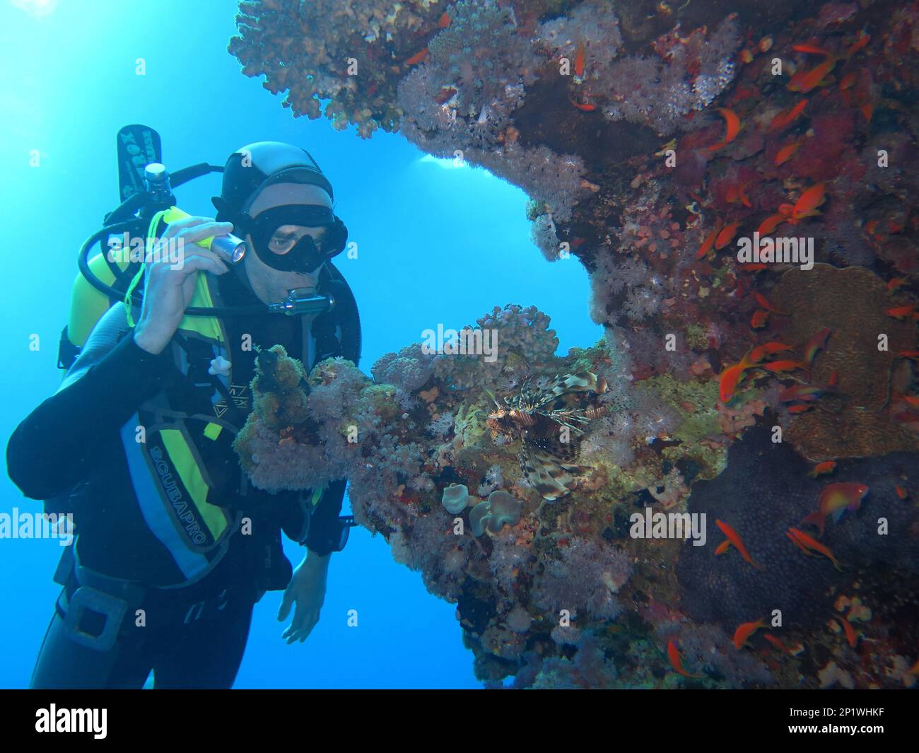 Coral reef geography hi-res stock photography and images - Alamy