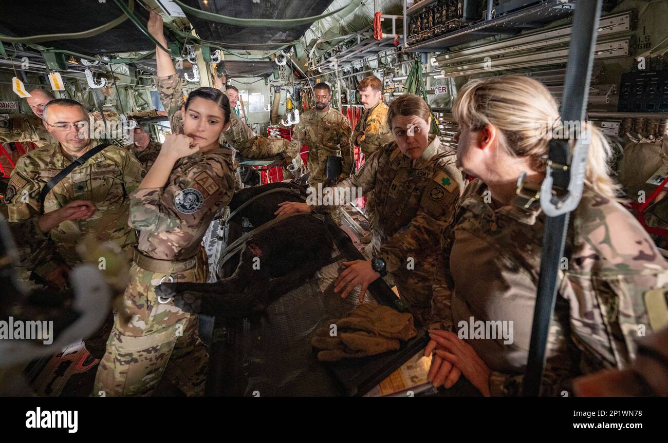 109th medical detachment hi-res stock photography and images - Alamy