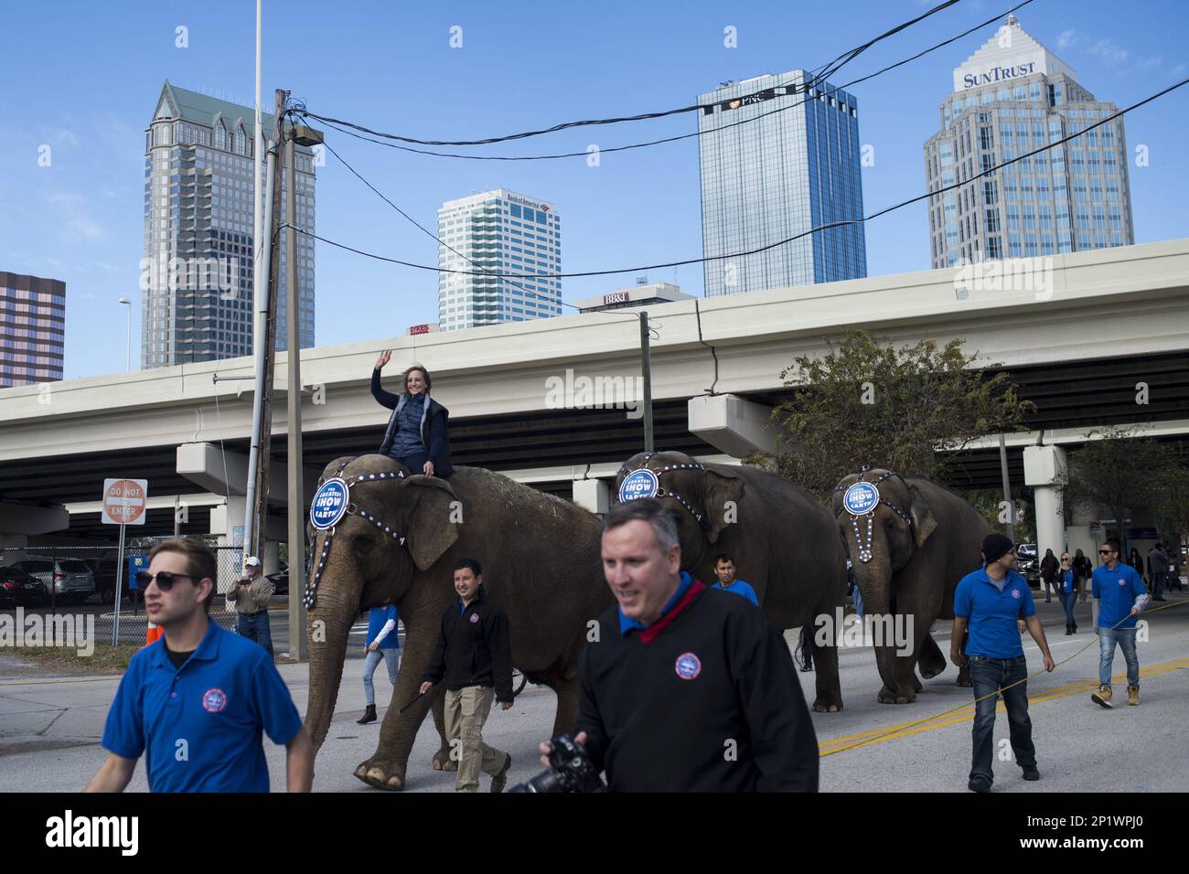 Bonnie Feld rides Karen, a trained elephant, as the Ringling Bros. and ...