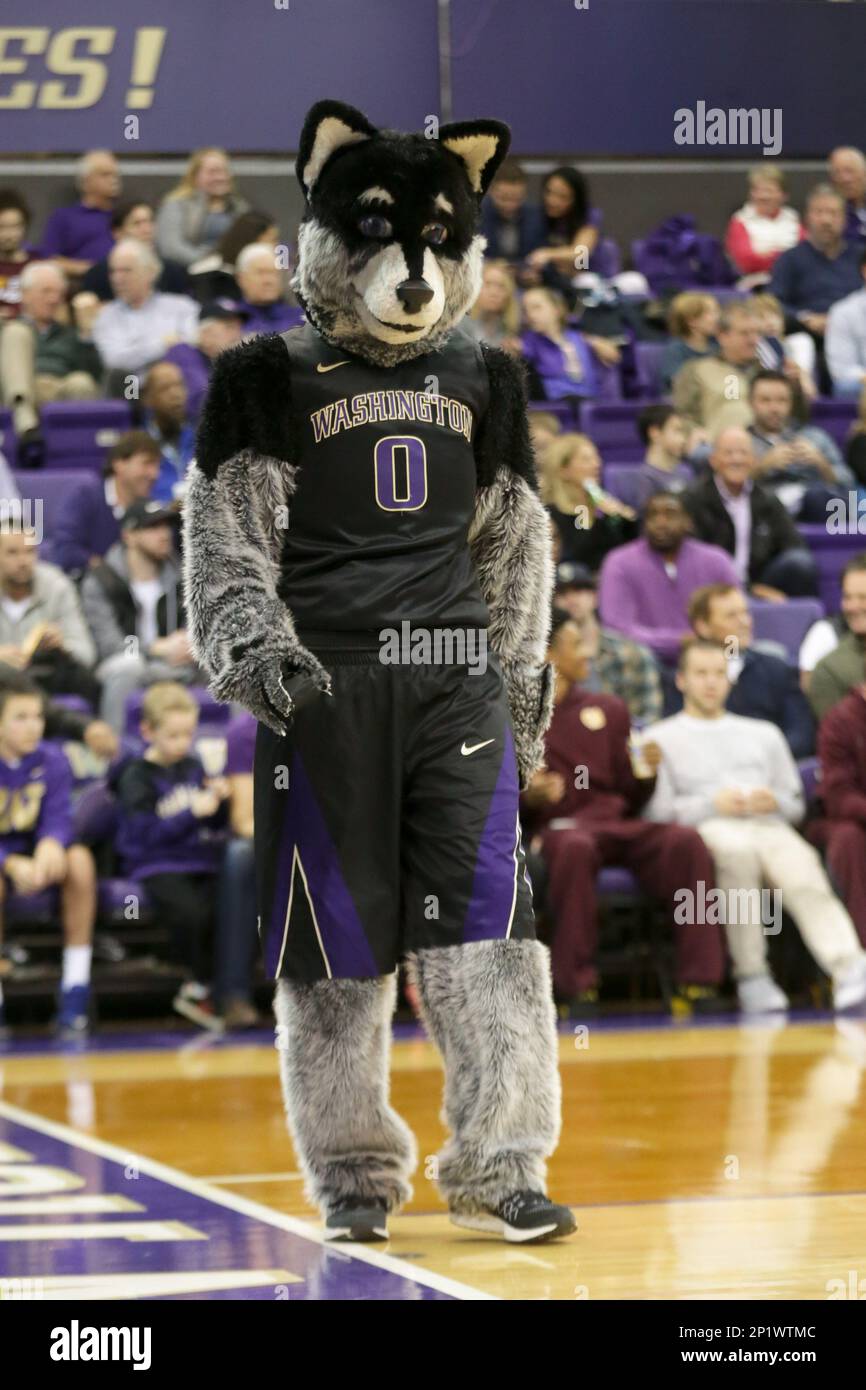DEC 22, 2015: Washington mascot Harry entertained fans during a timeout ...