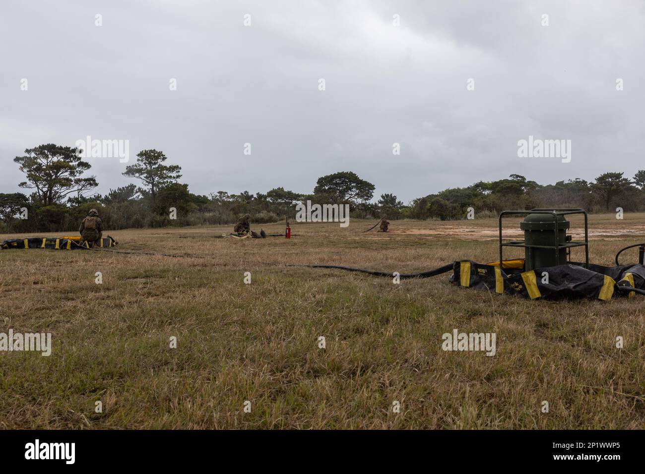U.S. Marines with Combat Logistics Regiment 3 (CLR-3) simulate the ...