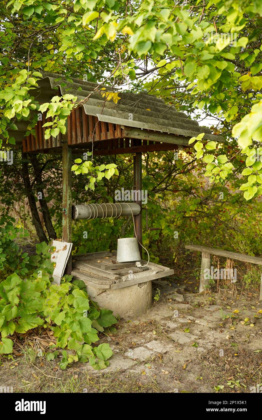View through foliage to old well with tin bucket in a village. Water ...