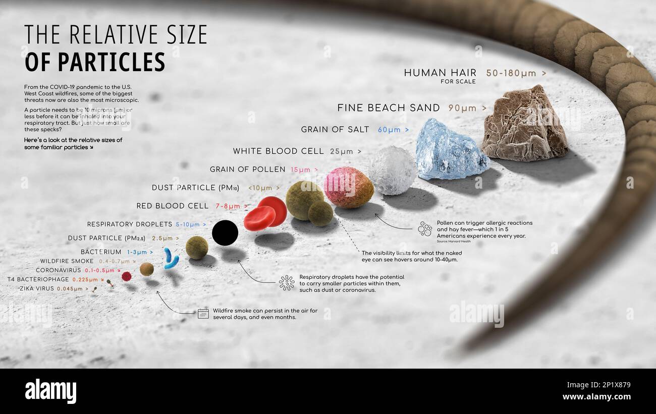Relative size of particles, illustration Stock Photo - Alamy Relative size of particles, illustration Stock Photo - Alamy