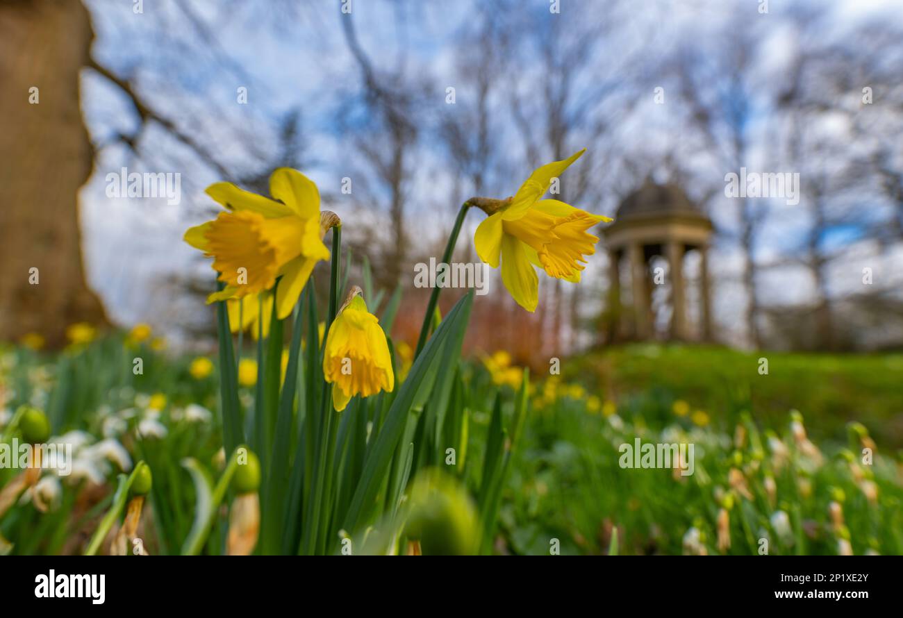 Spring 2023 collection hi-res stock photography and images - Alamy