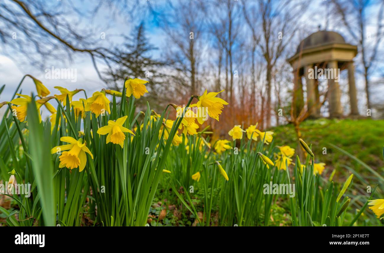 3rd March 2023 Dodding Hall Gardens, Doddington, near Lincoln ...