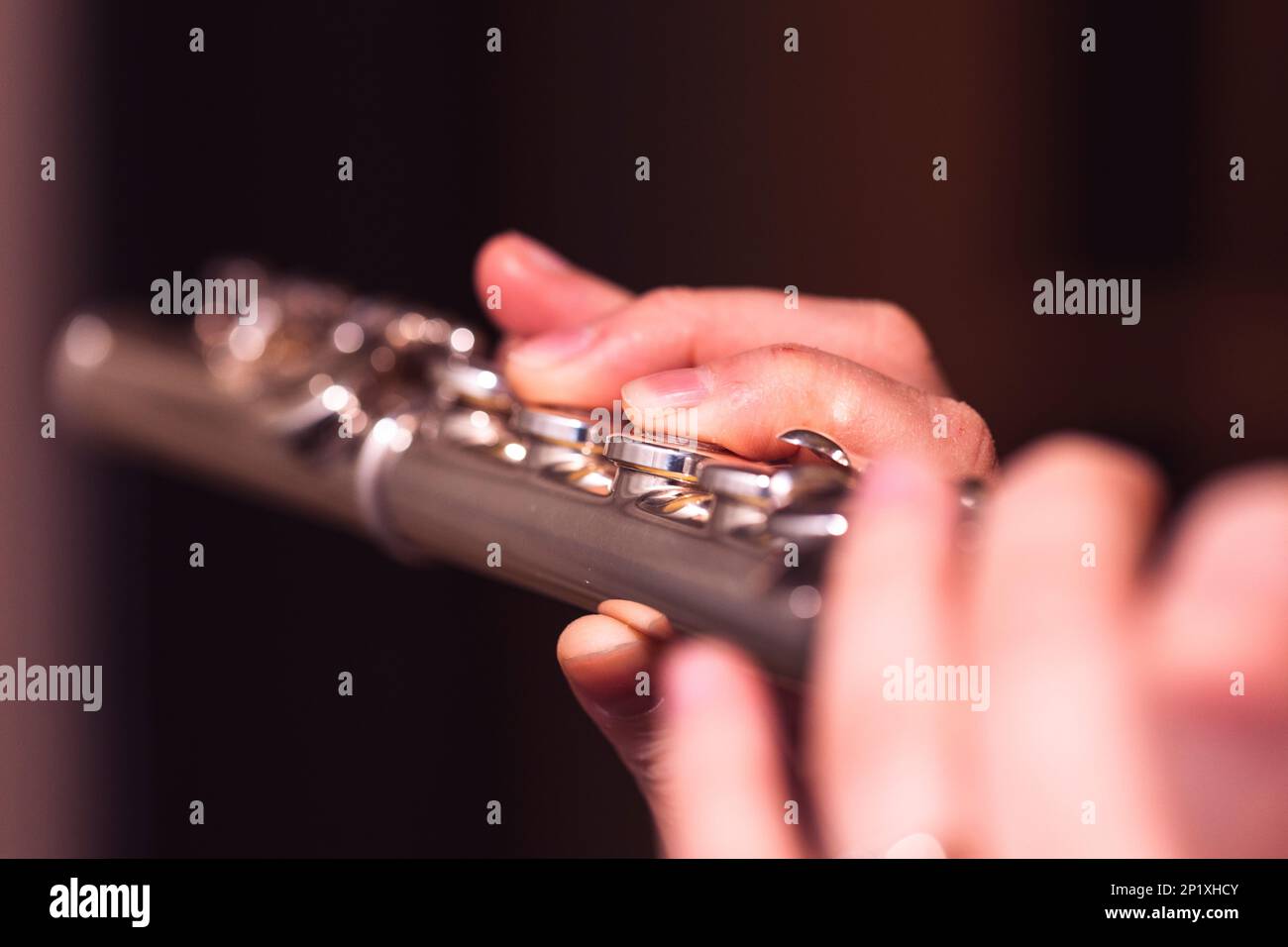 A portrait of the fingers of a hand of a flutist musician gripping down ...