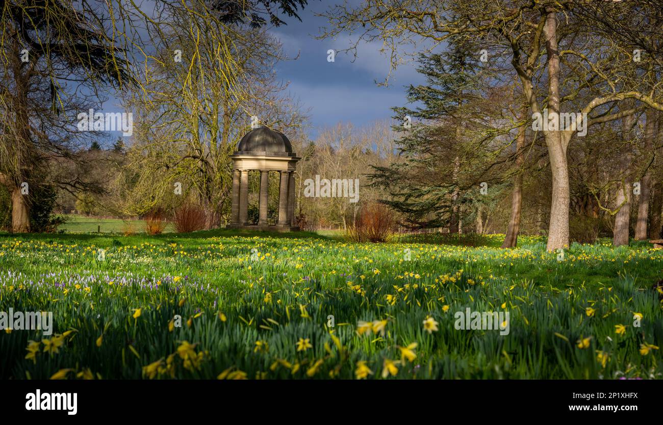 Heritage bulb collection hi-res stock photography and images - Alamy