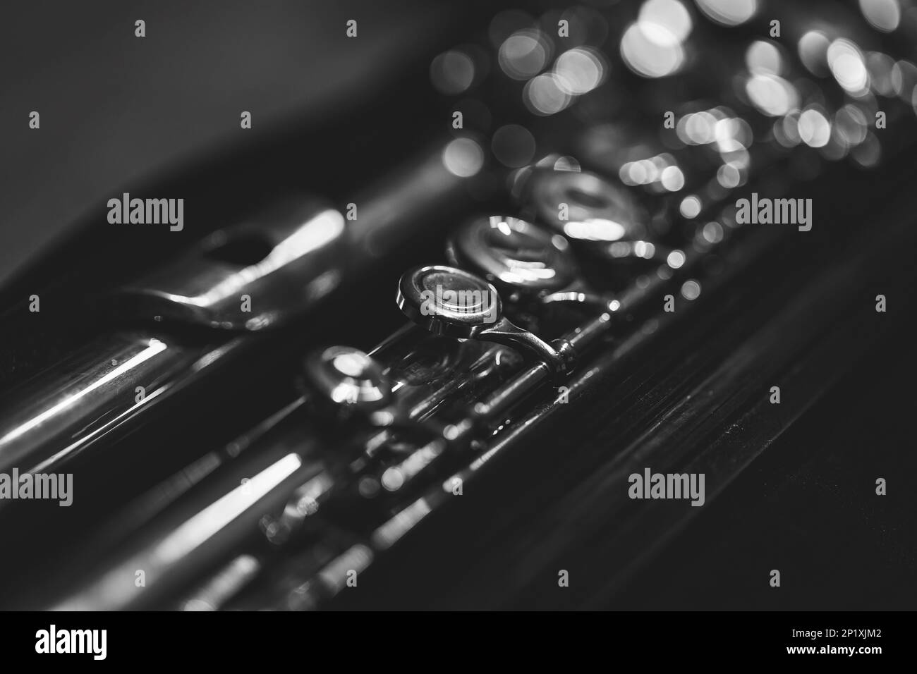 A black and white portrait of a valve of a disassembled silver metal ...