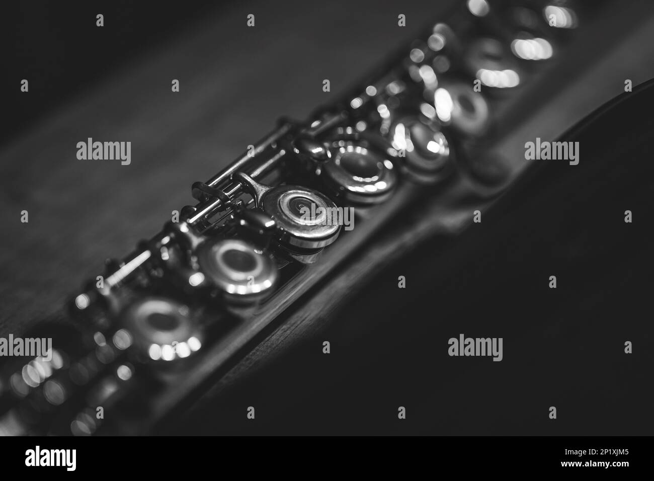 A black and white close up portrait of a the valves of an assembled ...