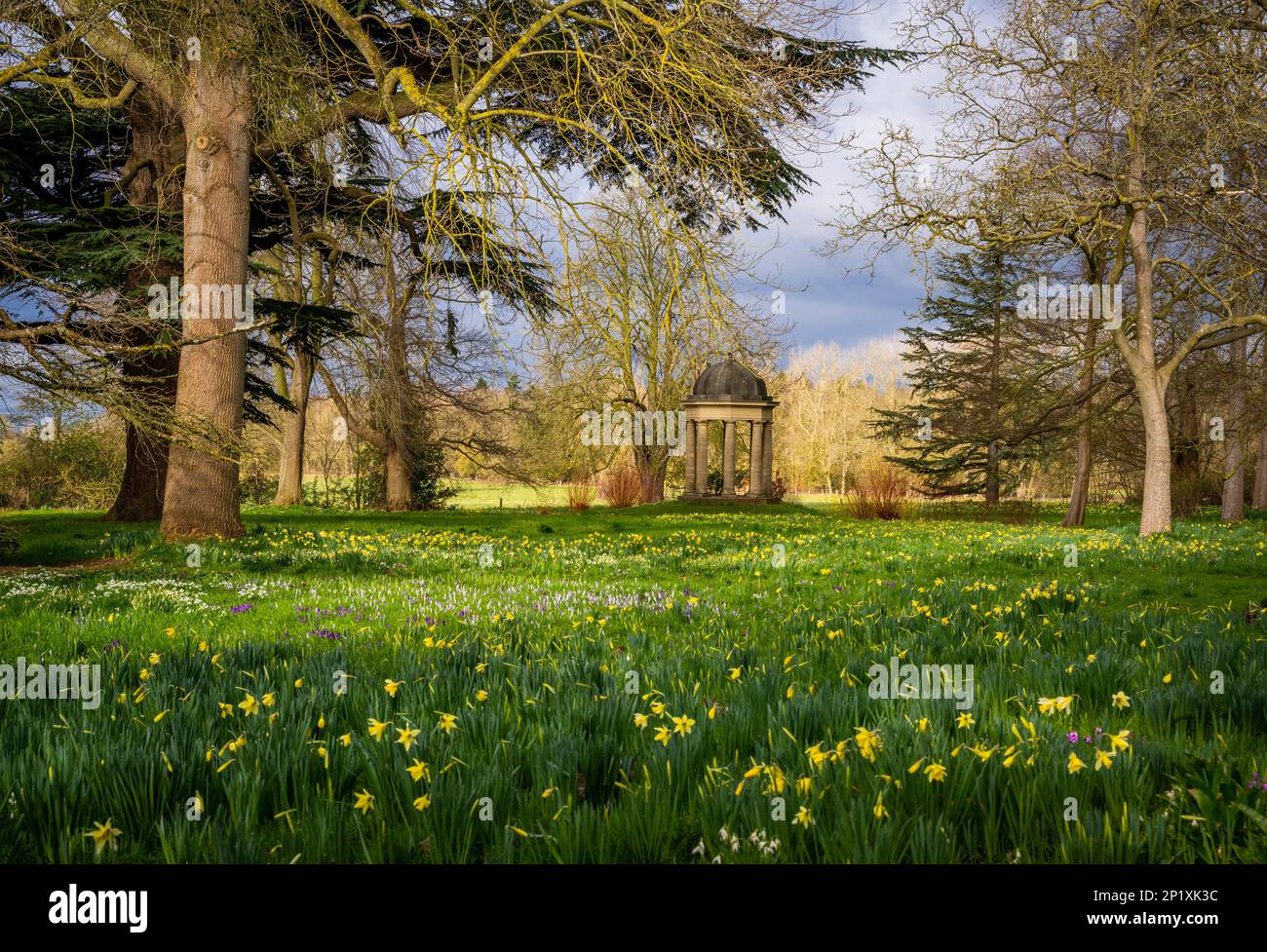 3rd March 2023 Dodding Hall Gardens, Doddington, near Lincoln ...