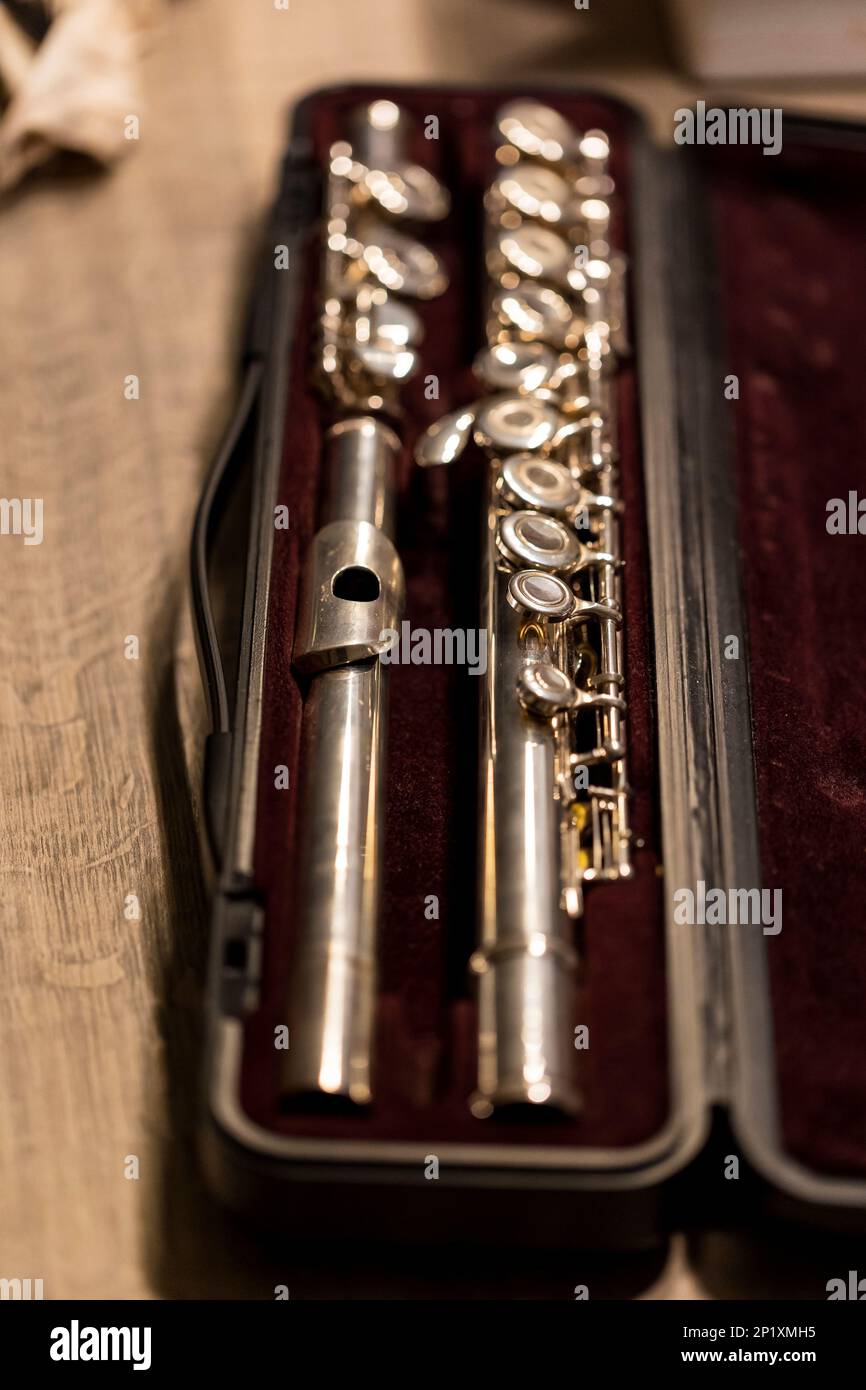 A portrait of a music case with a disassembled metal silver flute in it ...