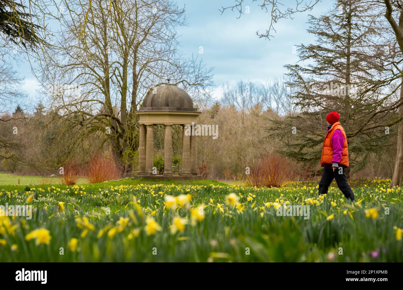 3rd March 2023 Dodding Hall Gardens, Doddington, near Lincoln ...