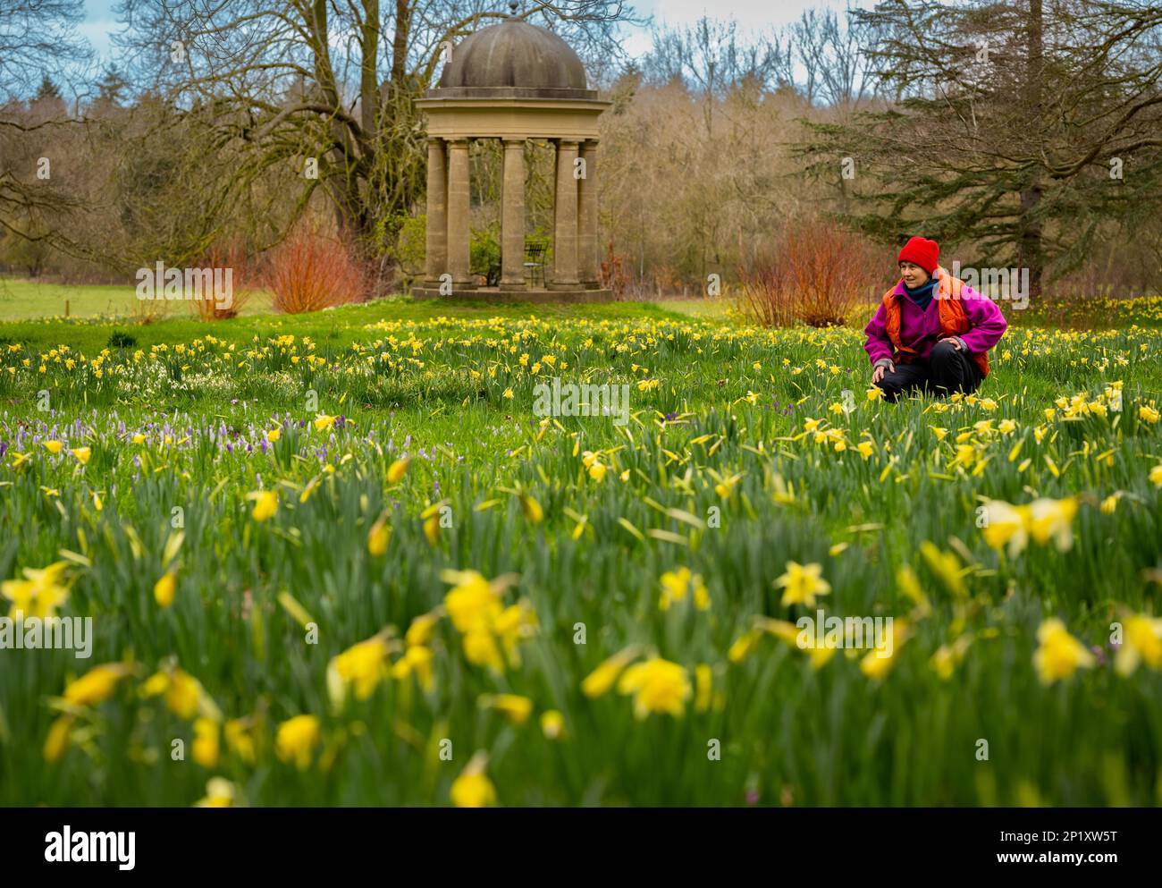 3rd March 2023 Dodding Hall Gardens, Doddington, near Lincoln ...