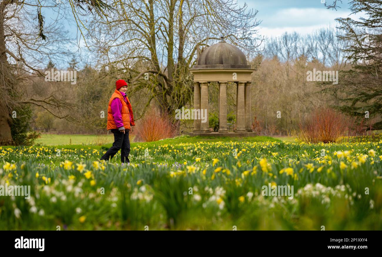 3rd March 2023 Dodding Hall Gardens, Doddington, near Lincoln ...