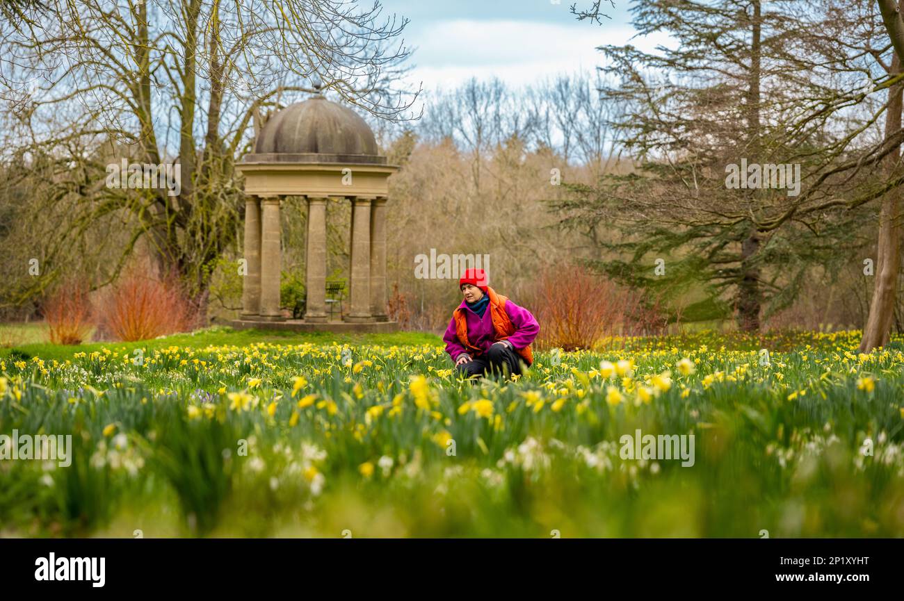 3rd March 2023 Dodding Hall Gardens, Doddington, near Lincoln ...