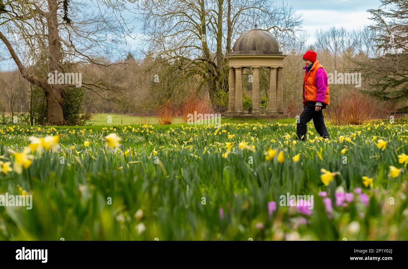 3rd March 2023 Dodding Hall Gardens, Doddington, near Lincoln ...