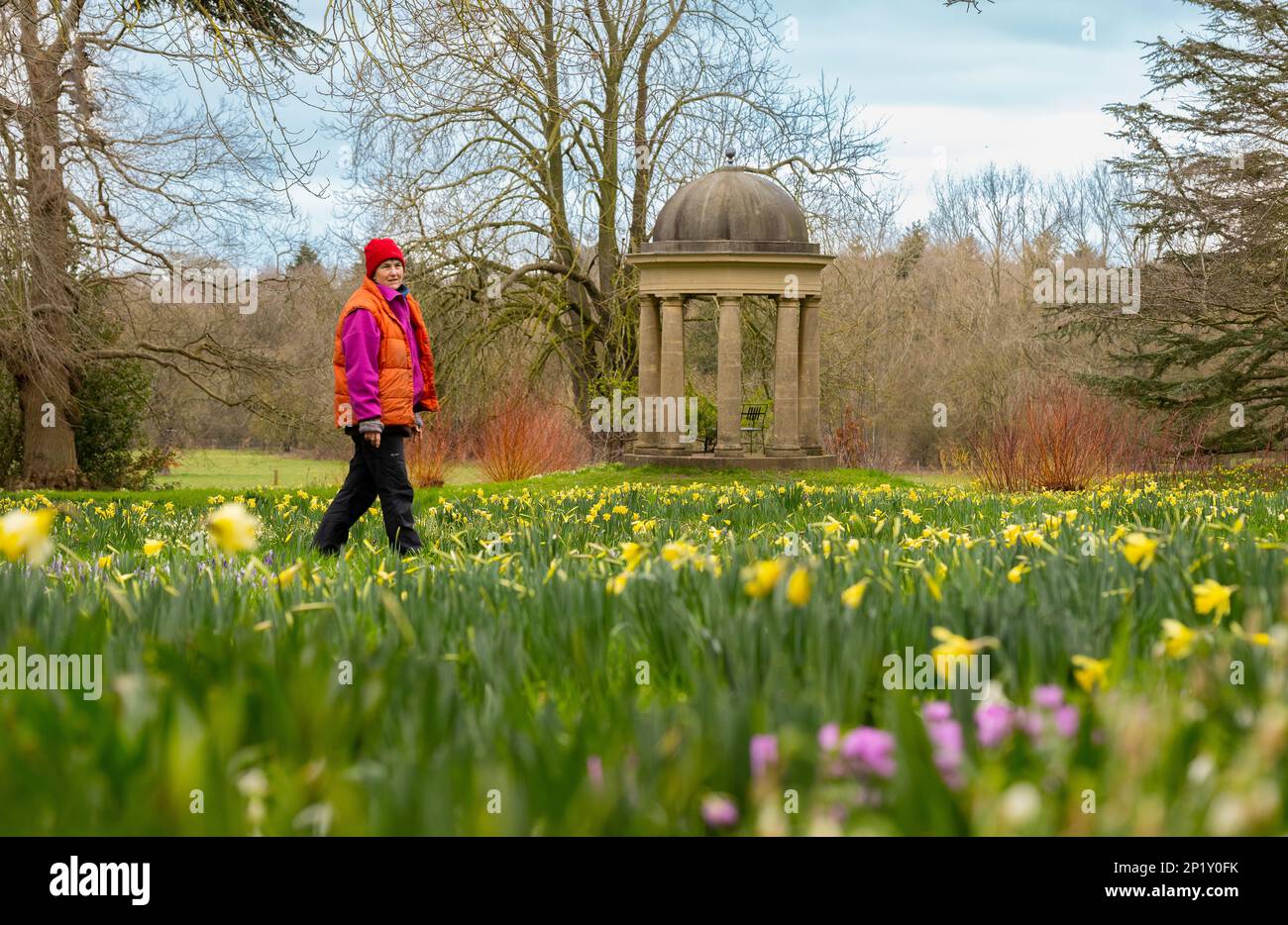 3rd March 2023 Dodding Hall Gardens, Doddington, near Lincoln ...