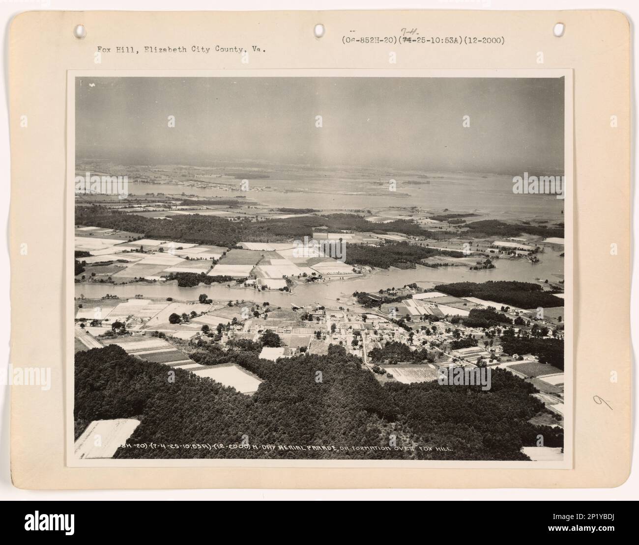 Virginia fox hi-res stock photography and images - Alamy