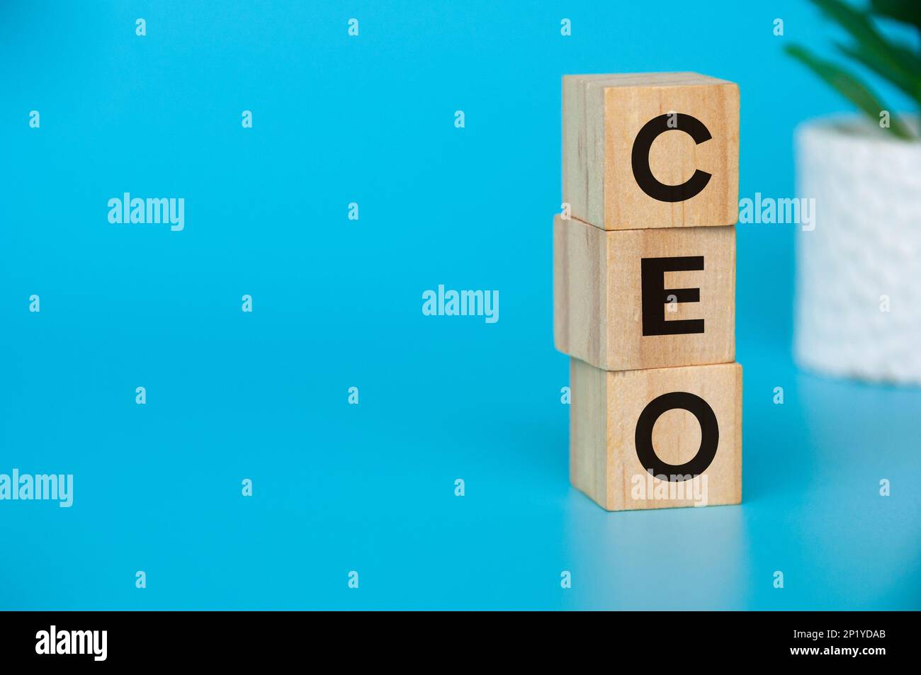 CEO text on wooden blocks with customizable space for text or ideas ...