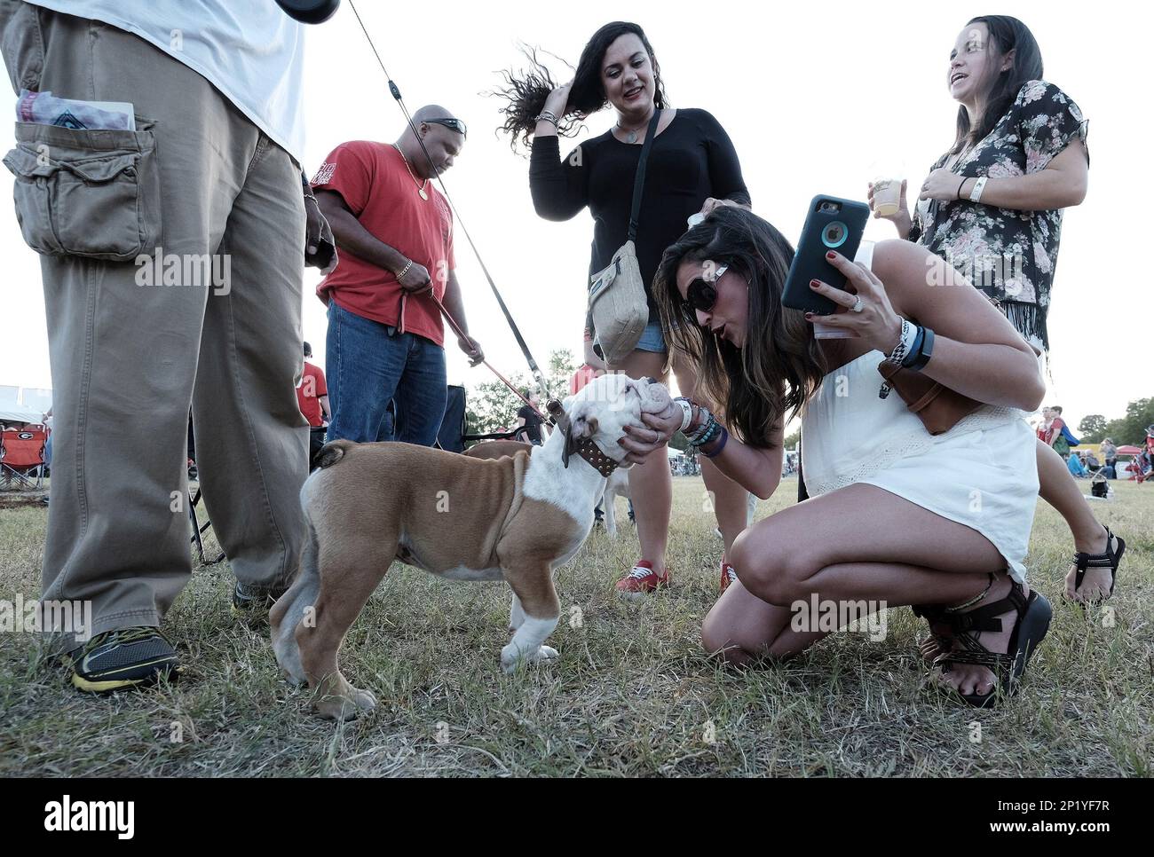 April Wooten meets Gregory Fuller's bulldog Harley during Border Bash ...