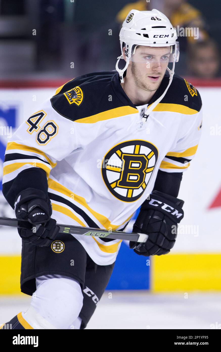 NHL player profile photo on Boston Bruins' Colin Miller at a game ...