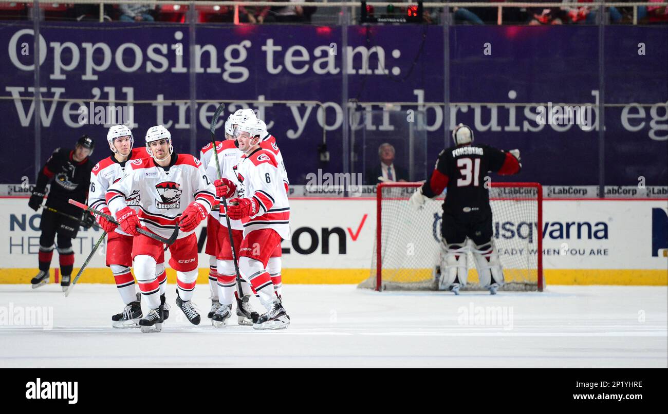 The Checkers celebrate a goal during the AHL game between the Lake Erie ...