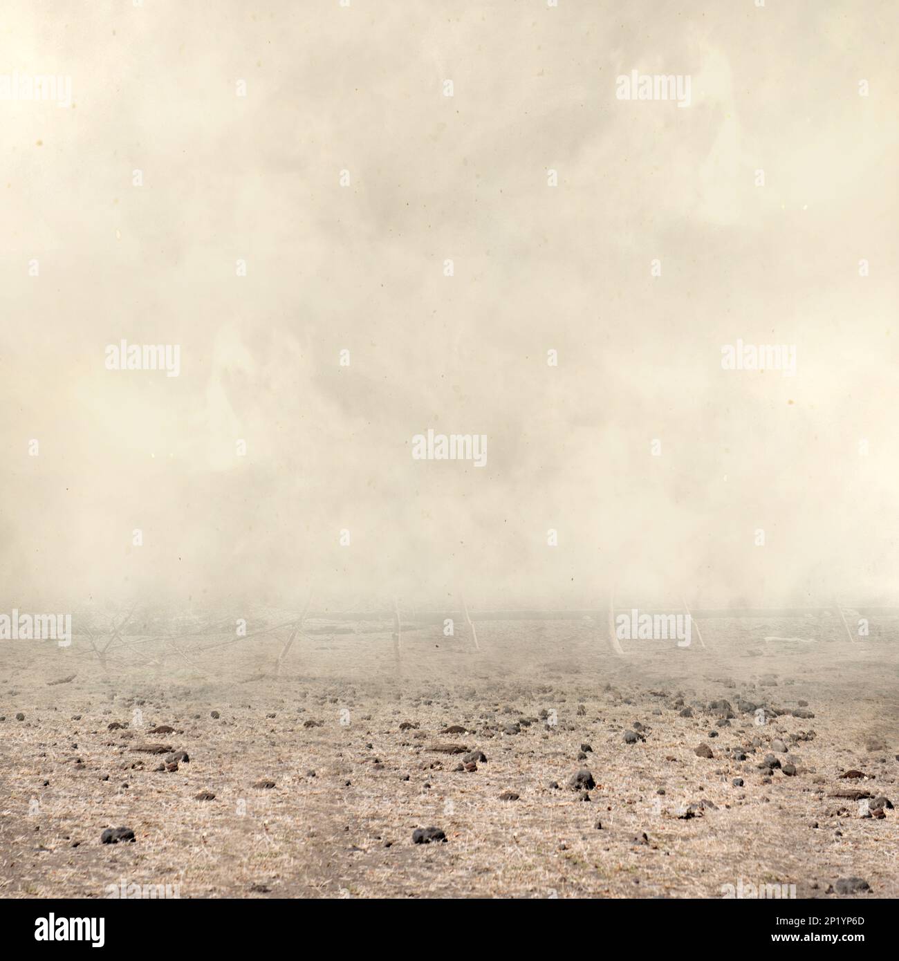 Drought field with a dramatic sky background Stock Photo - Alamy