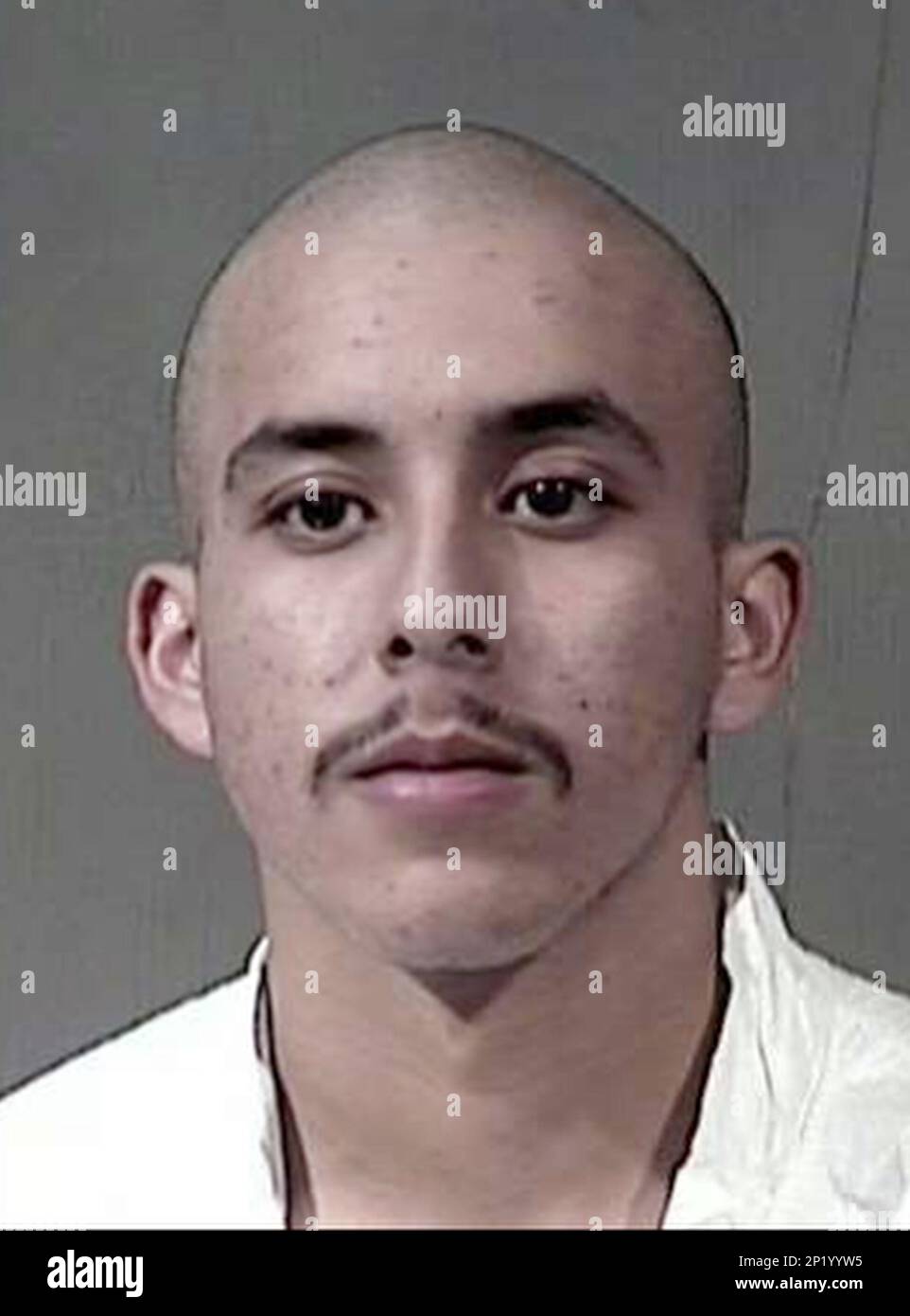 FILE - This 2010 booking file photo provided by the Maricopa County ...