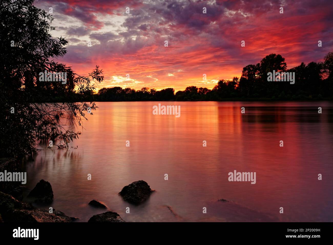 A fantastic sunset at river Rhine. Orange and red clouds reflecting in ...